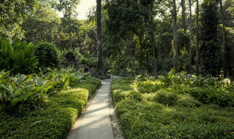 Parque Lage in Rio De Janeiro Editorial Image - Image of tropical ...
