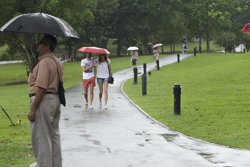 Parque Lluvioso En Singapur Fotografía editorial - Imagen de ciudad ...