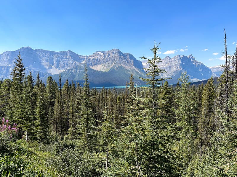 Parque Nacional Alberta Canadense Rockets. Foto de Stock - Imagem de ...