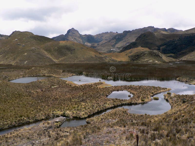 Parque Nacional Cajas, Ecuador Foto de archivo - Imagen de paisaje ...