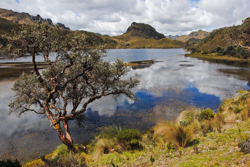 Panorama Del Parque Nacional De Cajas, Al Oeste De Cuenca, Ecuador Foto ...