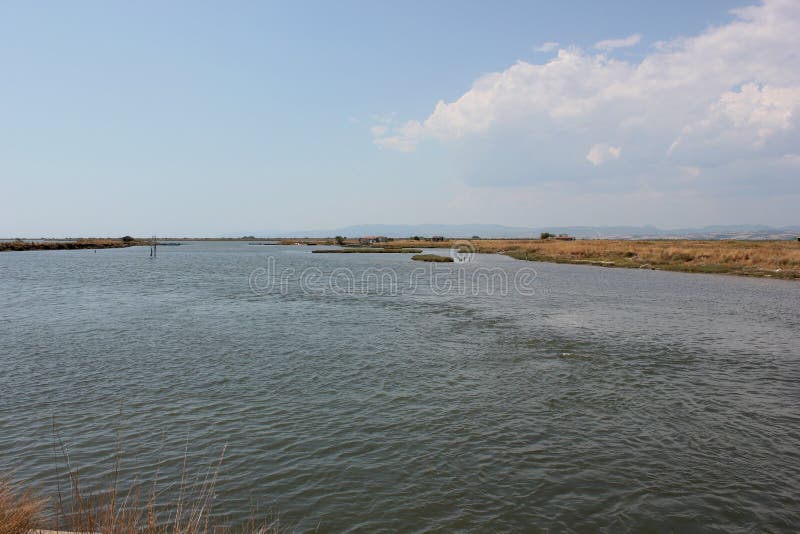 Parque Nacional De Delta Evros Evros Thraki Foto de archivo - Imagen de ...