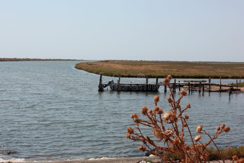 Parque Nacional De Delta Evros Evros Thraki Imagen de archivo - Imagen ...
