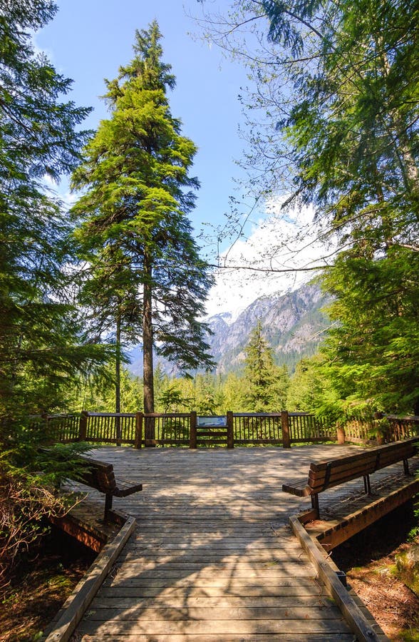 Parque Nacional De Las Cascadas Del Norte Imagen de archivo - Imagen de ...