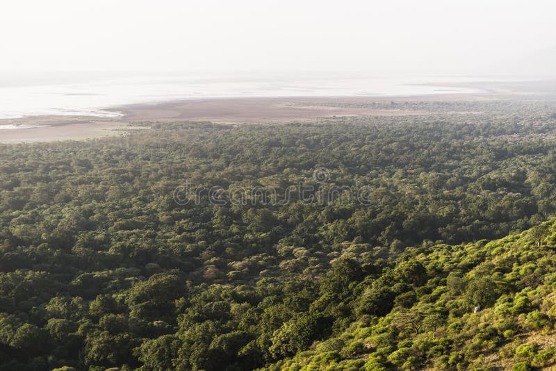 Parque Nacional De Manyara Del Lago Foto de archivo - Imagen de escena ...