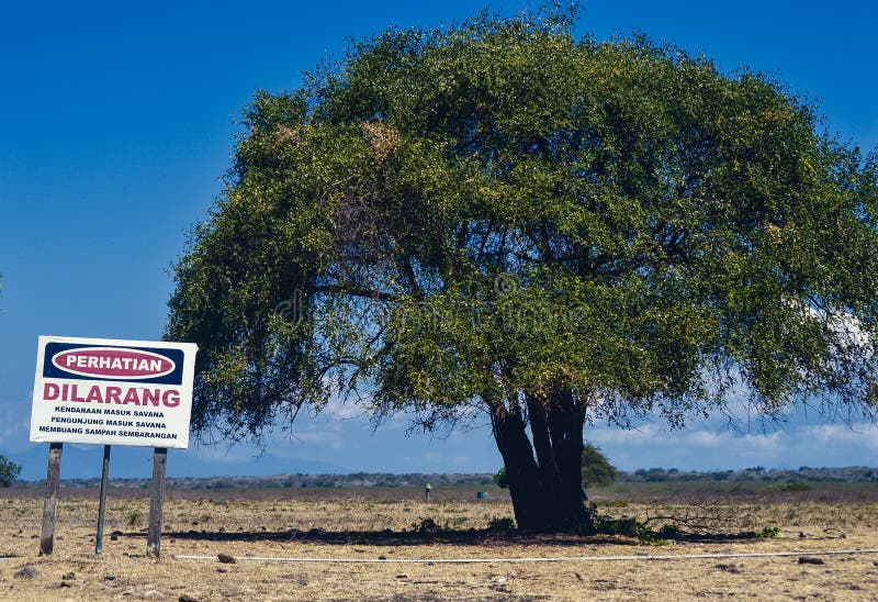 Parque Nacional De Savana Bekol Baluran Imagen de archivo editorial ...