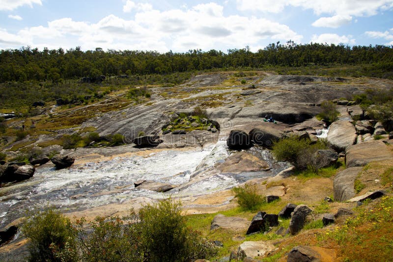 Parque Nacional John Forrest Imagen de archivo - Imagen de naturalizado ...