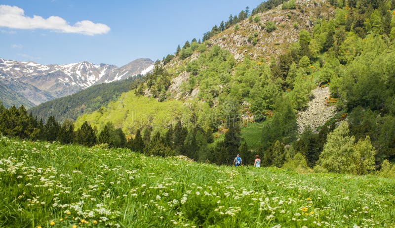 Parque Natural Andorra De Vall De Sorteny Pyrenees Imagem de Stock ... Parque Natural Andorra De Vall De Sorteny Pyrenees Imagem de Stock ...