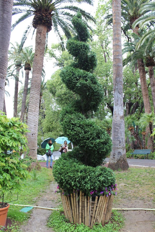 Parque Natural Da Flor De Genebra Nervi Fotografia Editorial - Imagem ...