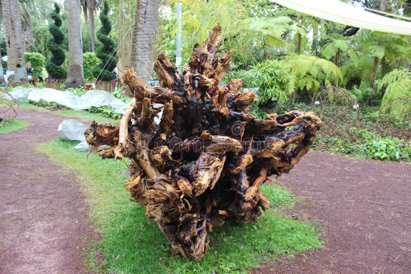 Parque Natural Da Flor De Genebra Nervi Imagem de Stock - Imagem de ...