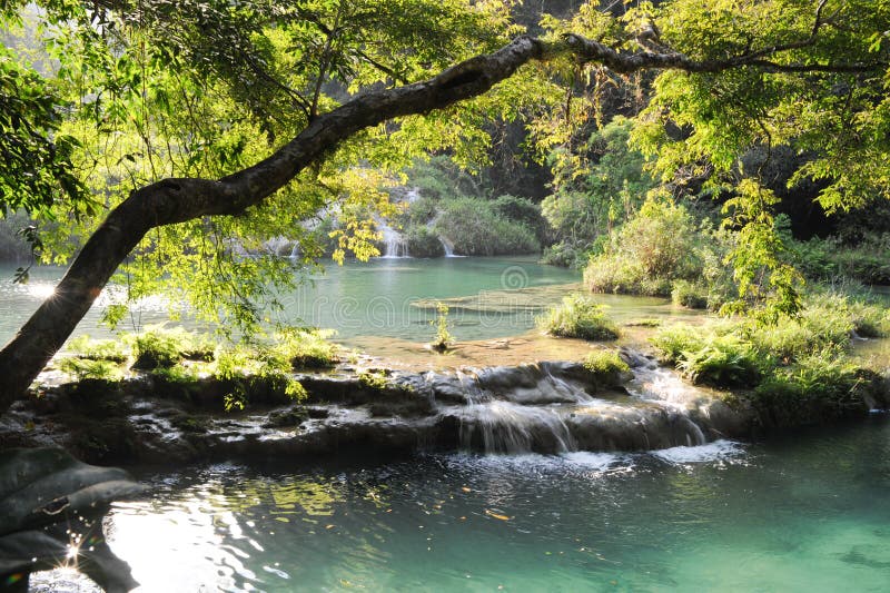Parque Natural Del Monumento De Semuc Champey En Lanquin Imagen de ...
