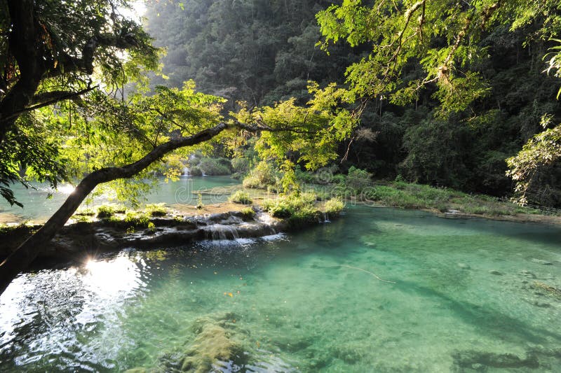 Parque Natural Del Monumento De Semuc Champey En Lanquin Foto de ...