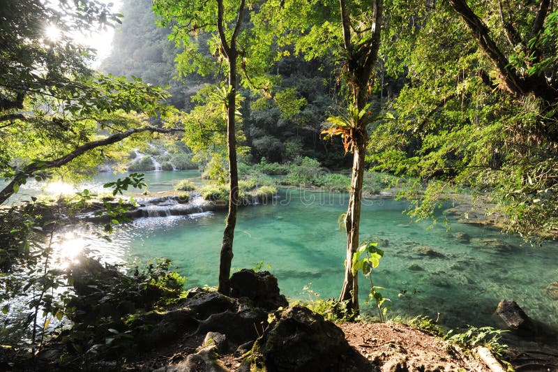 Parque Natural Del Monumento De Semuc Champey En Lanquin Imagen de ...