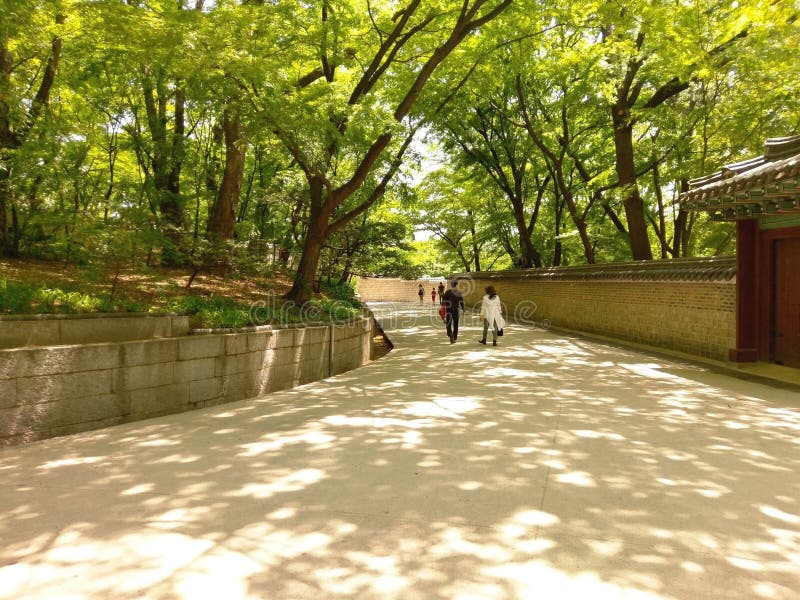 Parque Natural En Corea Del Sur Imagen de archivo editorial - Imagen de ...