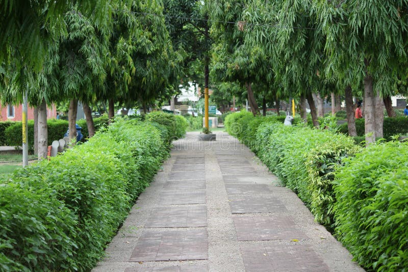 Parque Natural Verde Con Sendero Limpio Imagen de archivo - Imagen de ...
