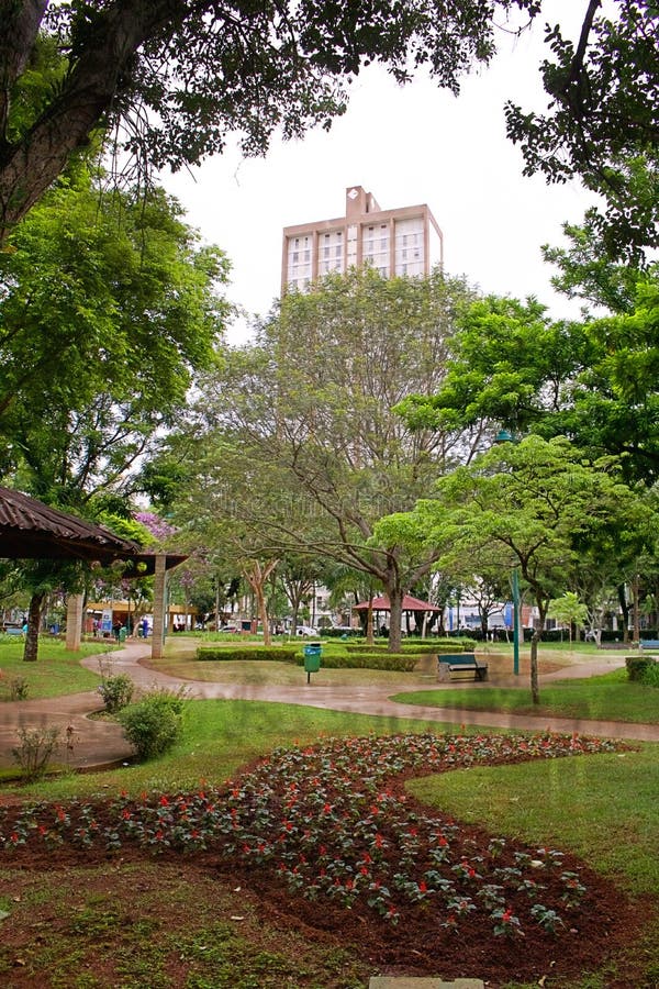 Parque stock image. Image of trees, parque, verde, park - 146504689
