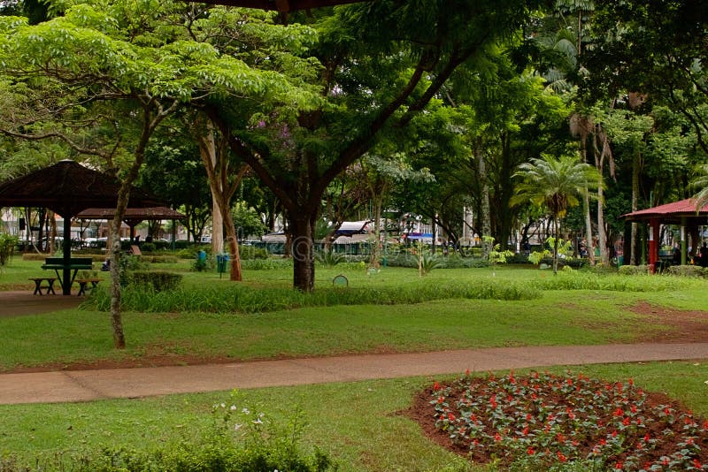 Parque stock image. Image of verde, trees, parque, green - 146504691