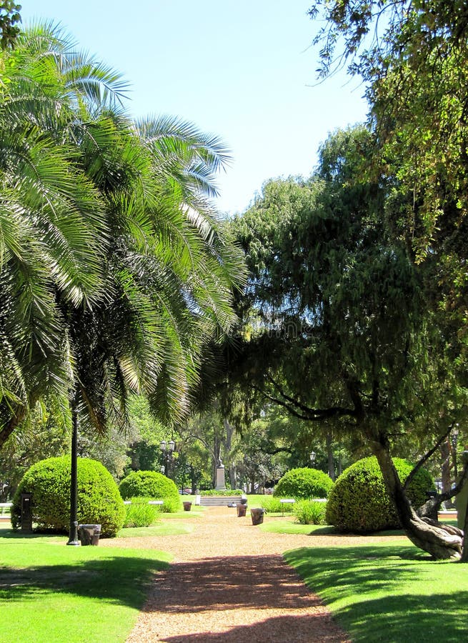 Parque Reservado Verde De La Ciudad Foto de archivo - Imagen de puro ...