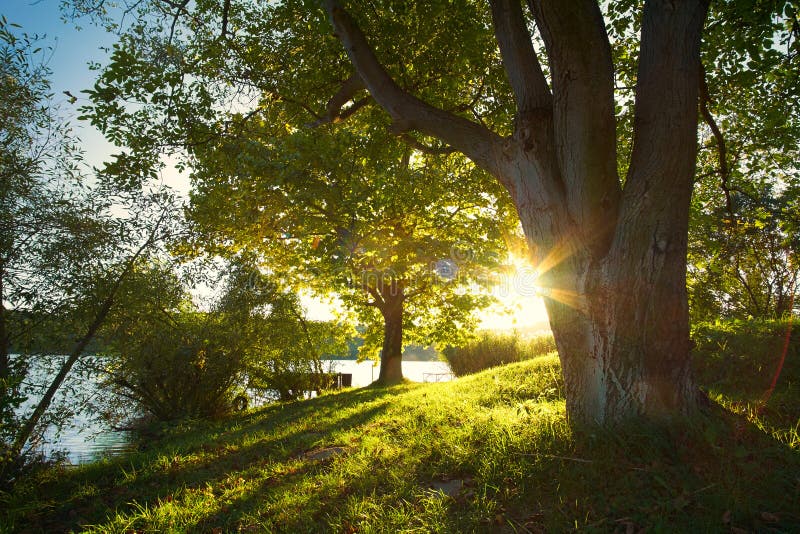 Parque soleado imagen de archivo. Imagen de sunlight - 132638581