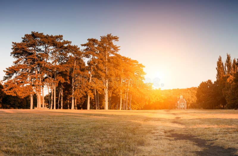 Parque soleado imagen de archivo. Imagen de antigüedad - 132682569