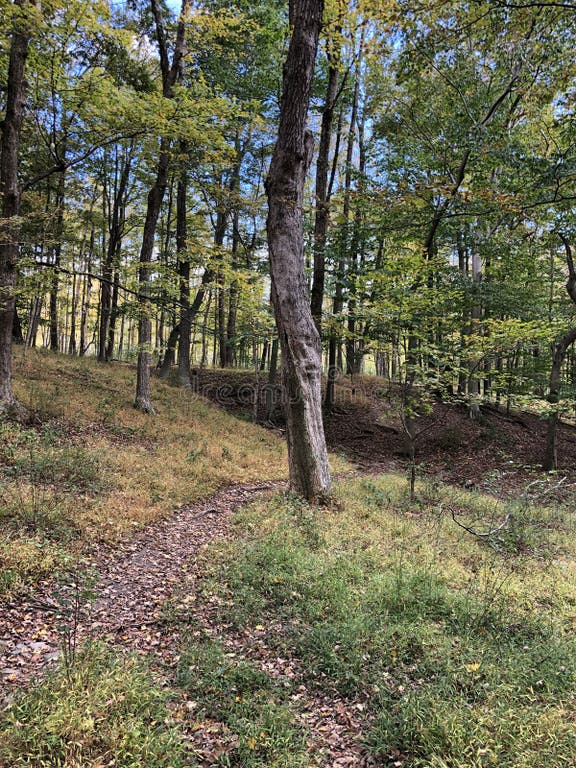 Parque Tohickon Valley foto de archivo. Imagen de condado - 160295338