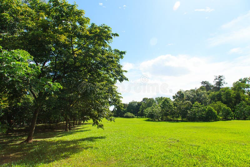 Parque verde foto de archivo. Imagen de parque, camino - 38952536