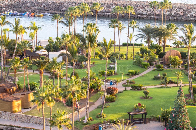 Parque Verde En Gran Canaria Foto editorial - Imagen de escena, nubes ...