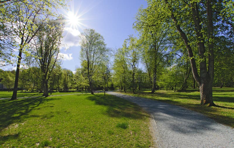 Parque y sol brillante imagen de archivo. Imagen de balneario - 40542639