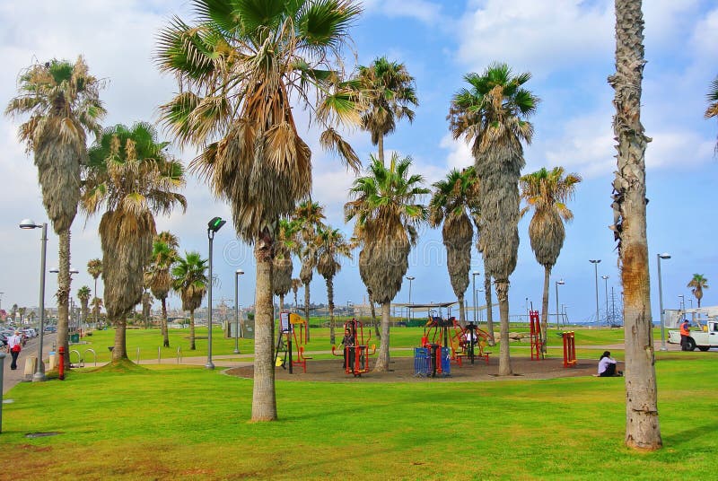 Parques Na Margem De Tel Aviv a Costa De Israel Imagem de Stock ...