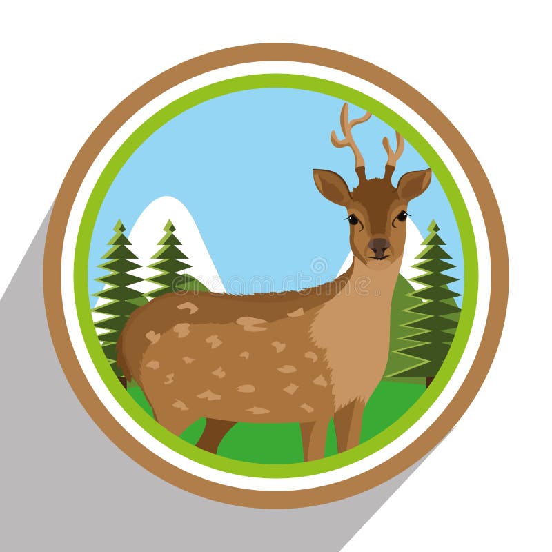 Parques Naturales Y Paisaje Del Bosque Ilustración del Vector ...