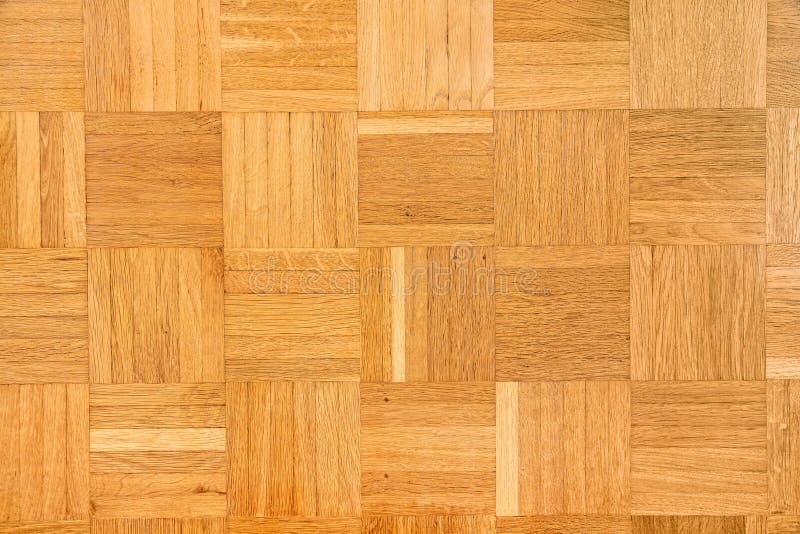 Parquet stock photo. Image of flooring, bone, empty, nature - 72875278