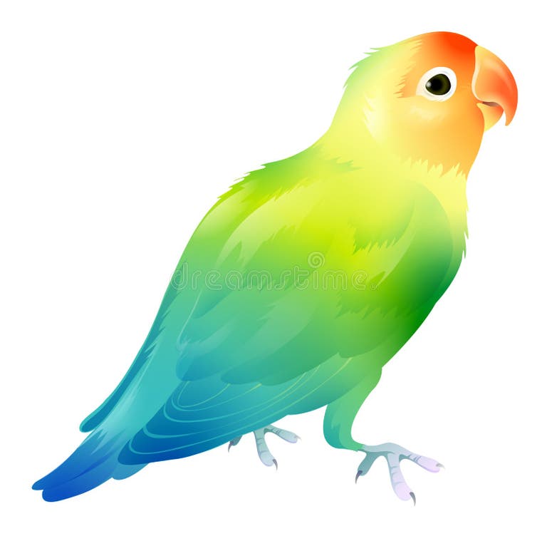 Colored Macaw Parrot Stock Illustrations – 603 Colored Macaw Parrot ...