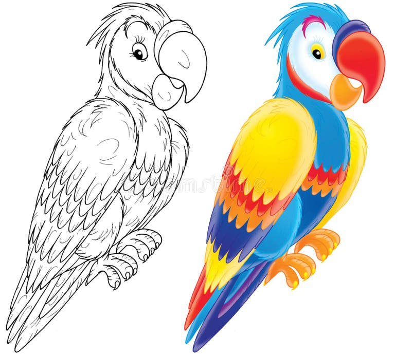 Colored Macaw Parrot Stock Illustrations – 603 Colored Macaw Parrot ...