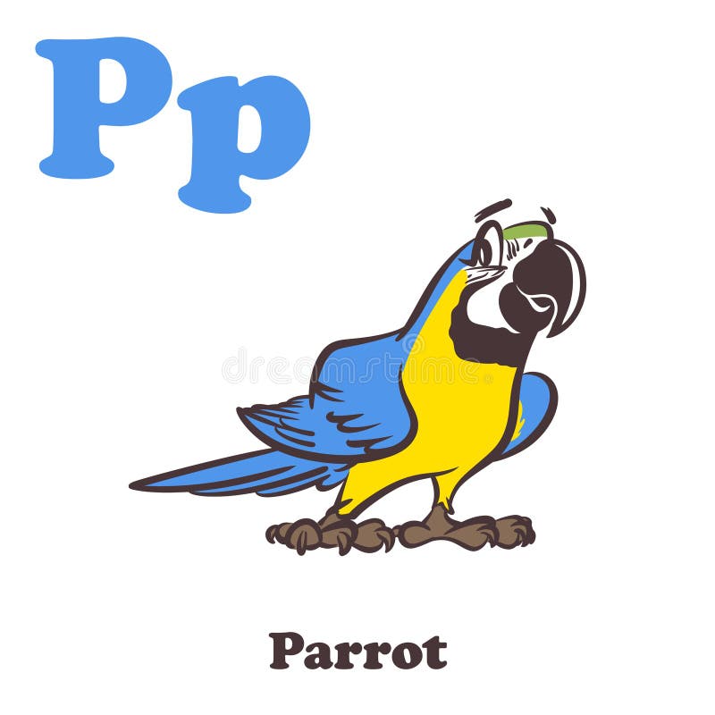 P for Parrot stock vector. Illustration of character - 304716973