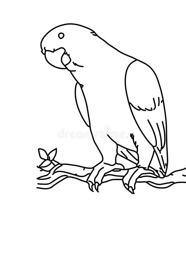 Parrot Black and White Lineart Drawing Illustration. Hand Drawn Lineart ... Parrot Black and White Lineart Drawing Illustration. Hand Drawn Lineart ...