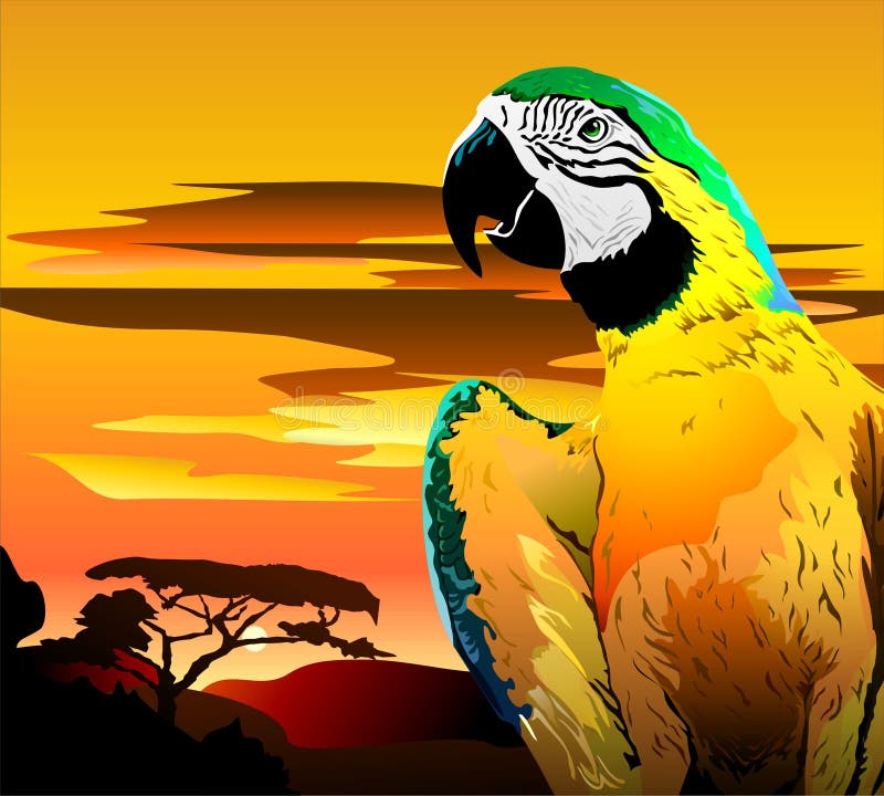 Parrot Computer Stock Illustrations – 315 Parrot Computer Stock ...