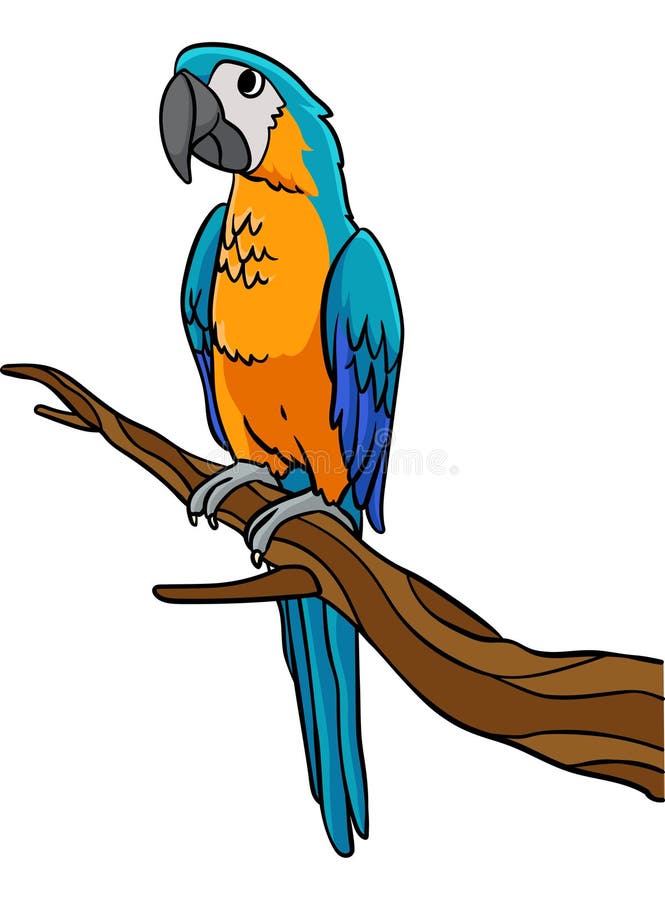 Parrot Cartoon Colored Clipart Illustration Stock Vector - Illustration ...