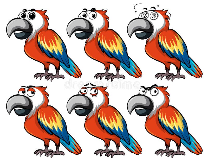 Sad Parrot. stock vector. Illustration of hand, confused - 24797316