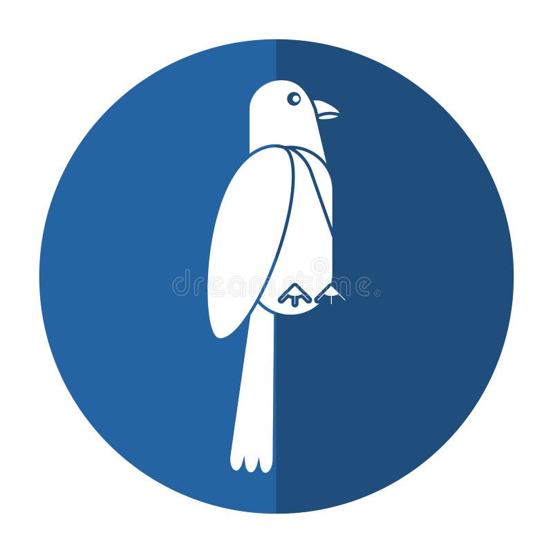 Parrot Exotic Bird Nature Shadow Stock Vector - Illustration of ...