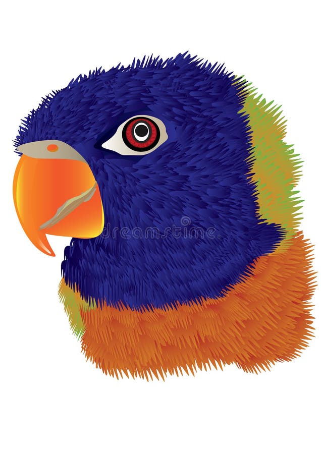 Parrot Head_eps stock vector. Illustration of decorative - 18340249