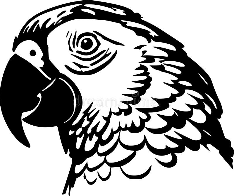 Parrot Svg Stock Illustrations – 20 Parrot Svg Stock Illustrations ...