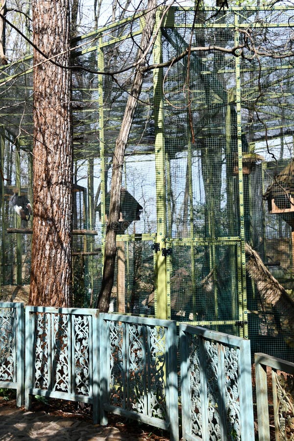 Parrot Mountain and Gardens in Pigeon Forge, Tennessee Stock Image ...