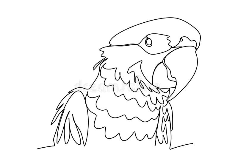 Parrot. One Line Drawing Vector Illustration Stock Vector ...