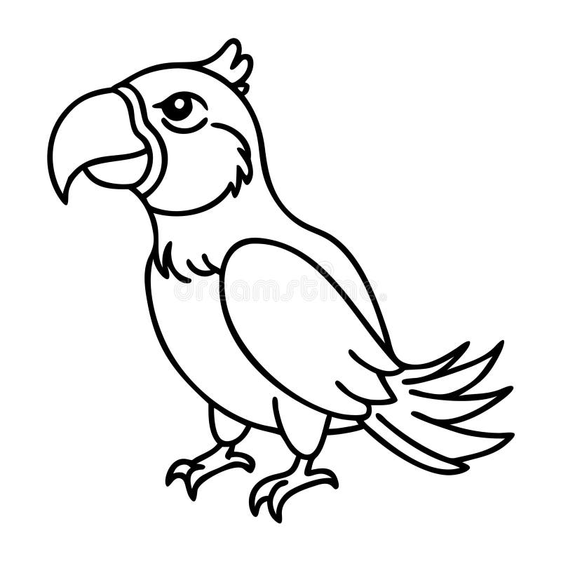 Parrot Outline Vector Illustration for Coloring Books and Graphic ...
