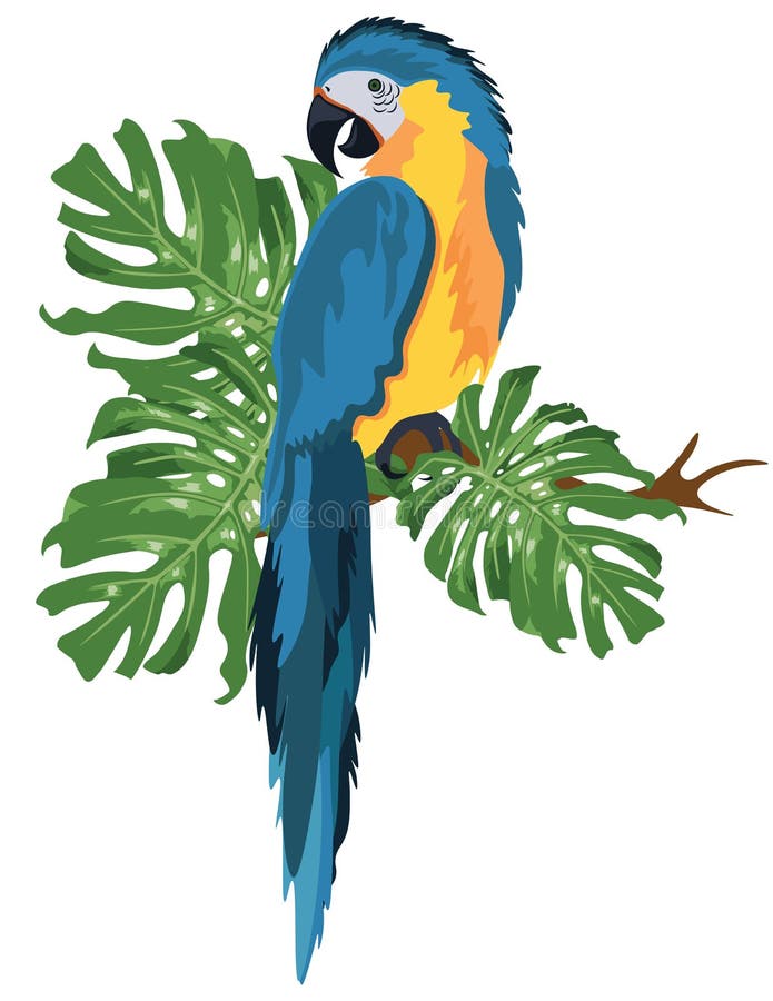 Parrot Sitting on a Branch. Child Drawing Stock Illustration ...