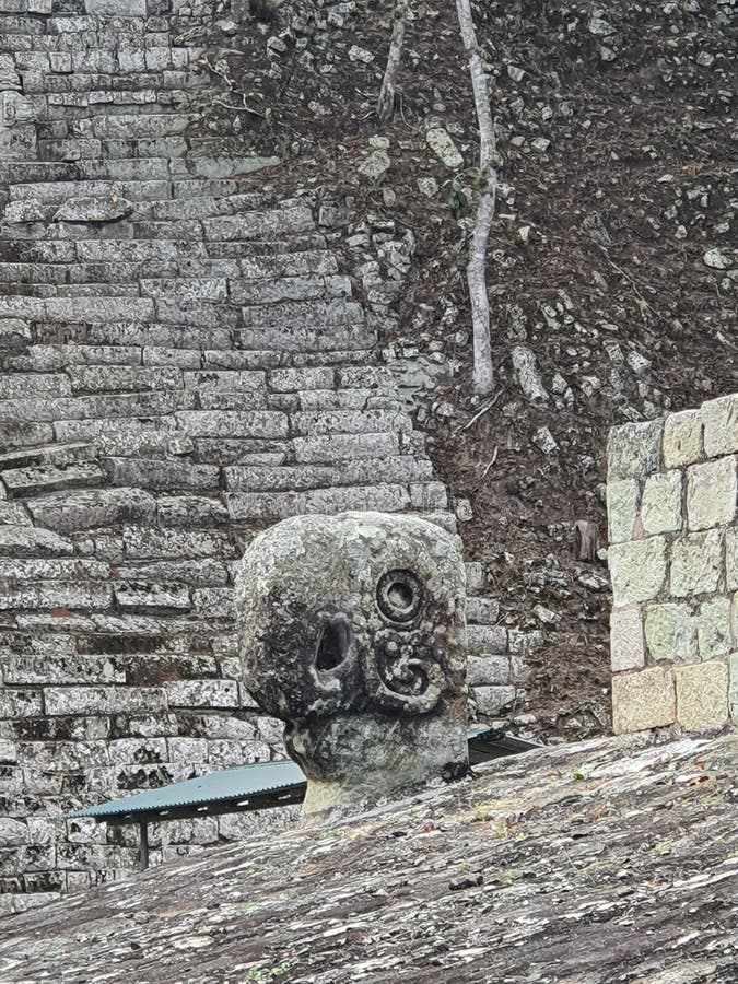 Parrot stone head stock image. Image of geology, iron - 178561907