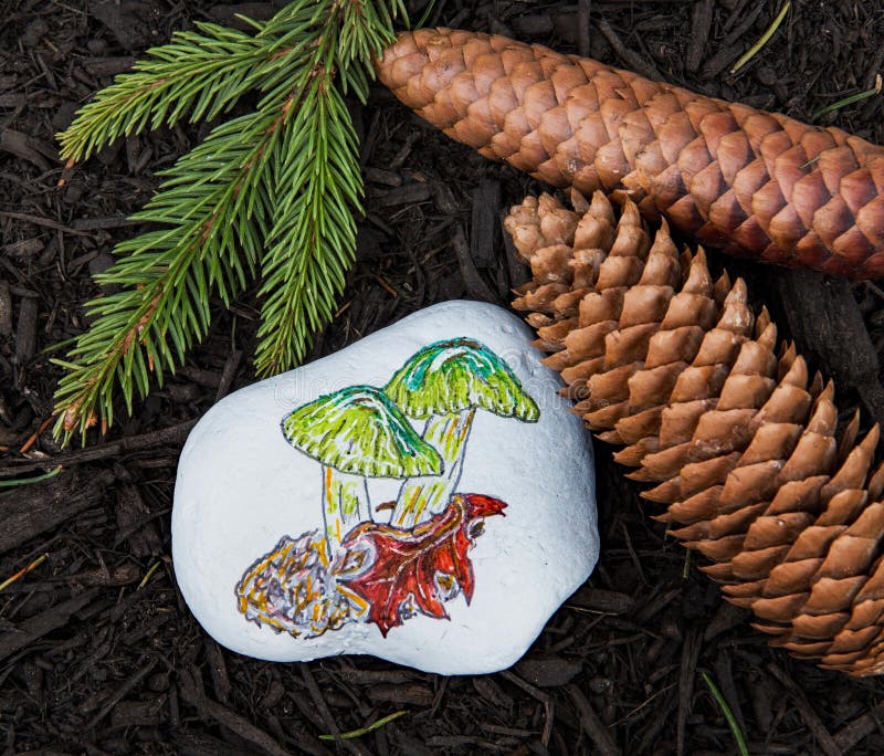 Parrot Toadstools Painted Rock on Pine Mulch Background Stock Photo ...