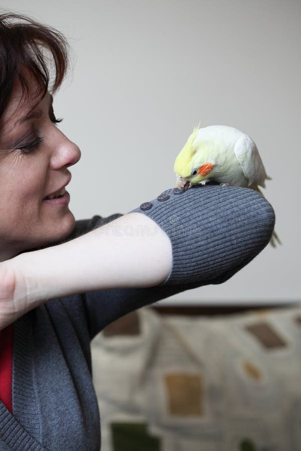 Parrot and woman stock image. Image of woman, parrot - 21678155