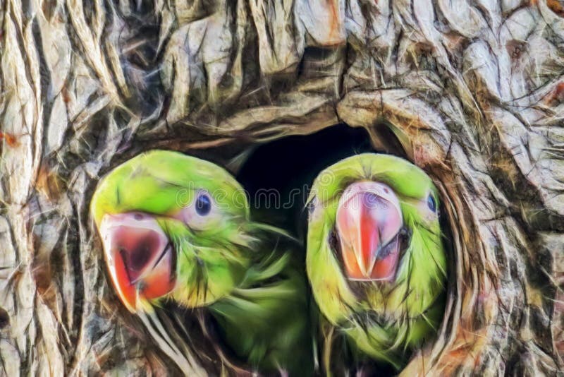 Parrots in Tree Hole in Nature. Stock Image - Image of fauna, exotic ...