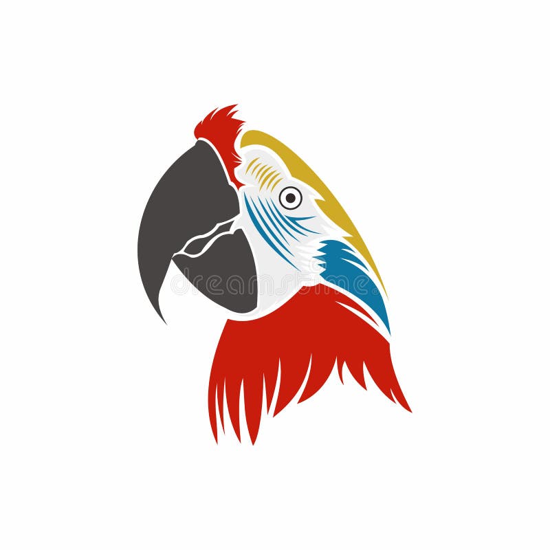 Parrot Head Stock Illustrations – 2,330 Parrot Head Stock Illustrations ...